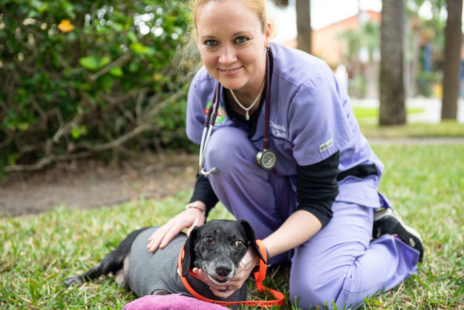 Hospital Tour | Dr. Kathy's Veterinary Care Inc.
